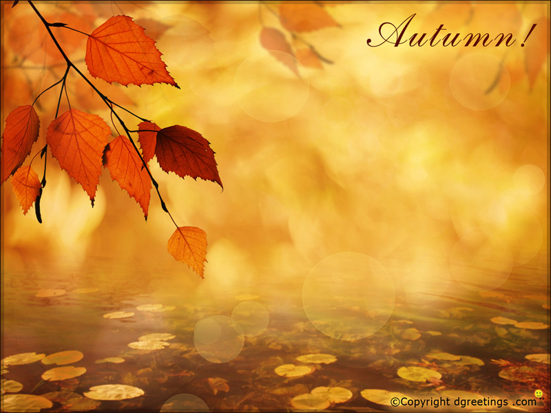 Beautiful Fall Wallpapers - Fall Greeting Cards Sayings - 800x600 ...