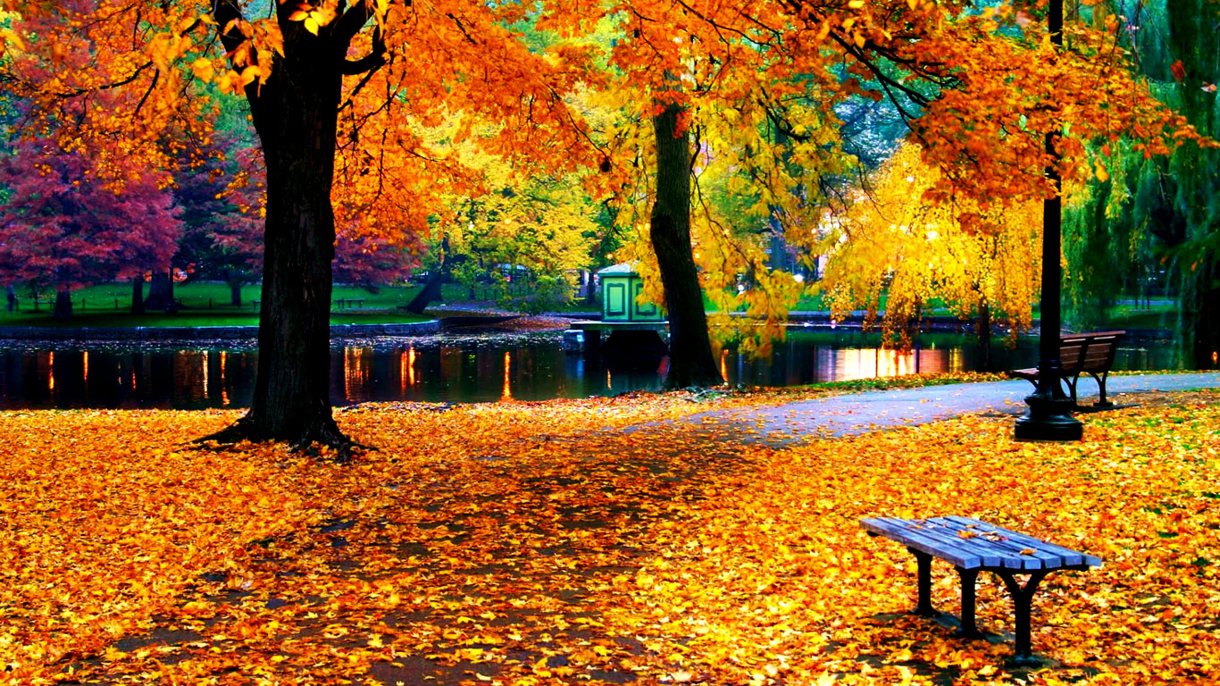Best Autumn Leaves Wallpapers In High Quality, Marcelina - 1366x768 ...