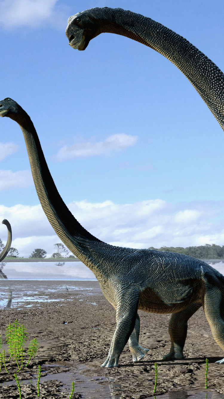 Huge Dinosaurs - 750x1334 Wallpaper - teahub.io
