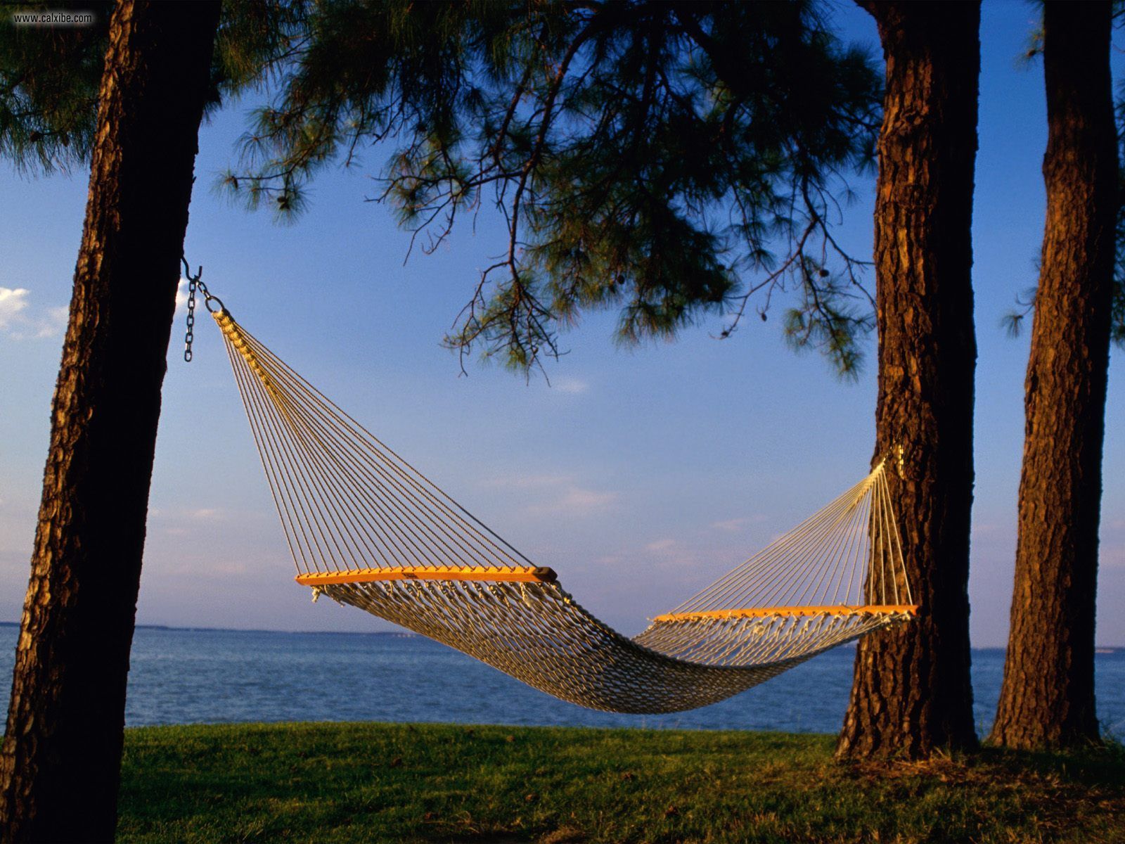 Lazy Afternoon - 1600x1200 Wallpaper - teahub.io