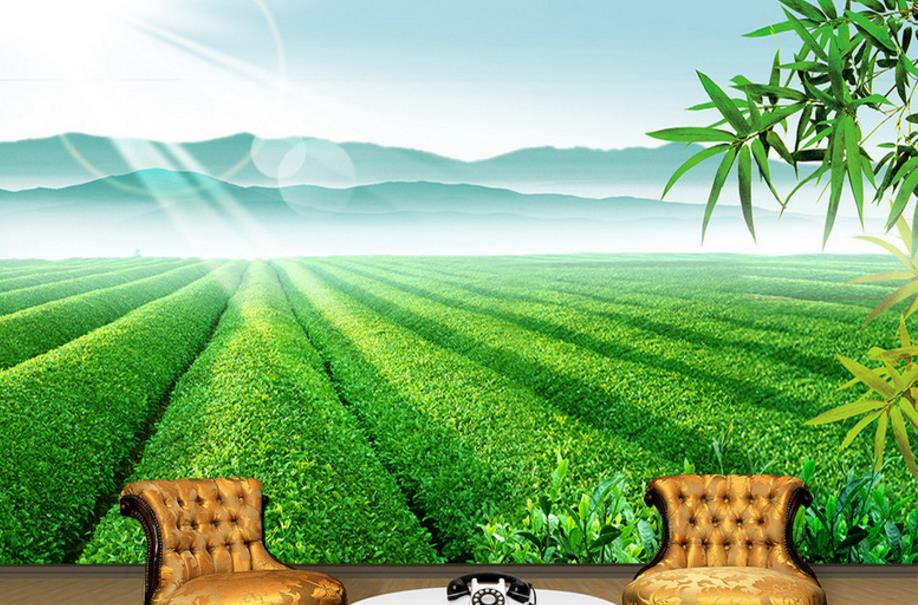Background Hd Tea Garden - 918x605 Wallpaper - teahub.io