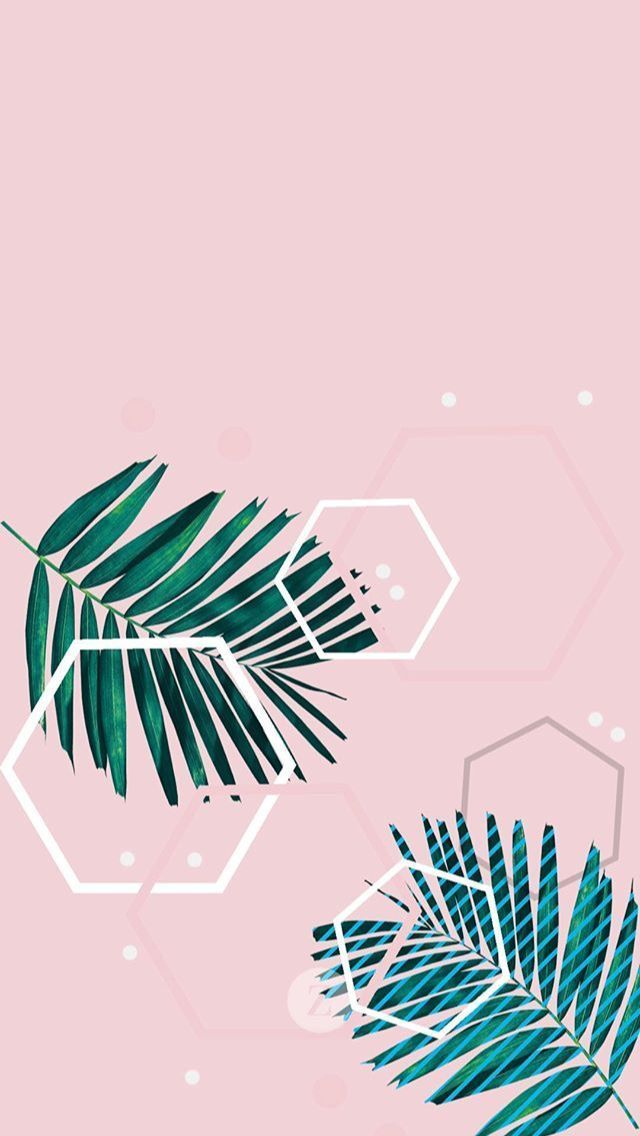 Download Wallpaper - Teahub.io