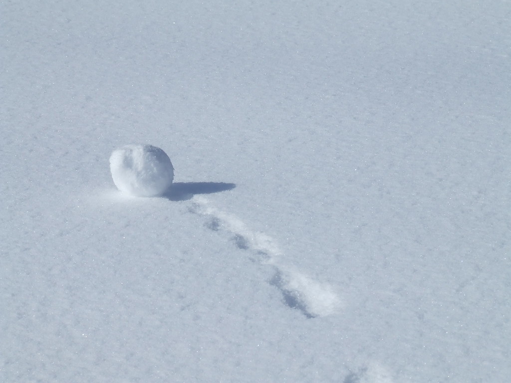 Small Snowball - 1024x768 Wallpaper - teahub.io