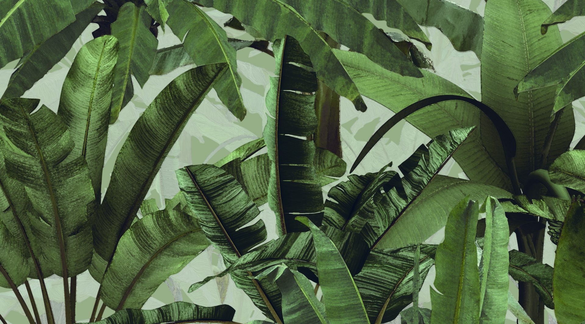 Robin Sprong Wallpapers - Robin Sprong - 1920x1065 Wallpaper - teahub.io