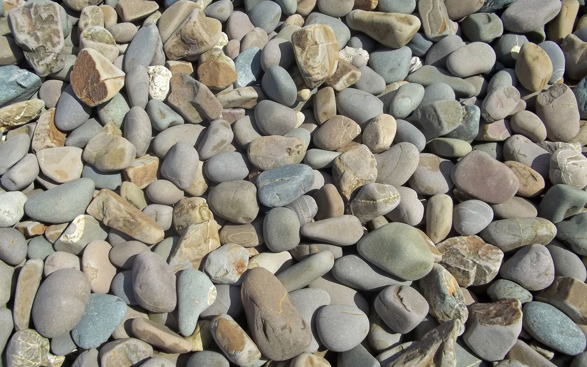 Wallpaper - 1920x1200 Wallpaper - teahub.io