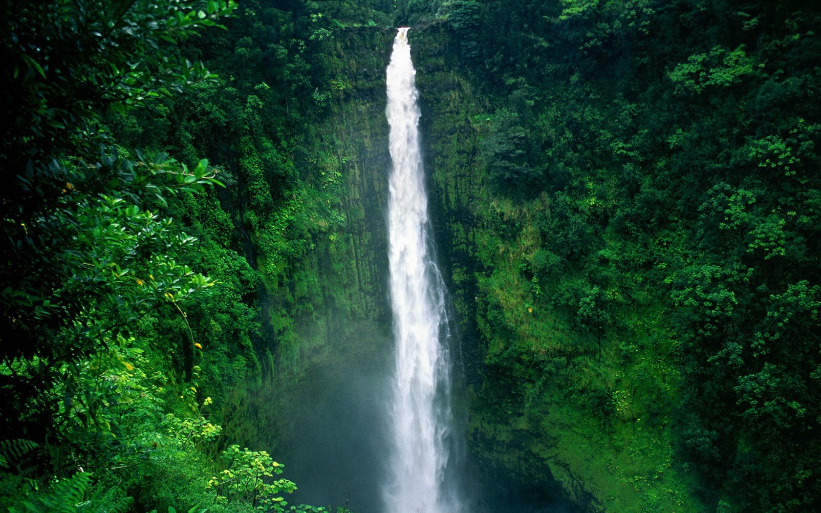 Akaka Falls - 1680x1050 Wallpaper - teahub.io