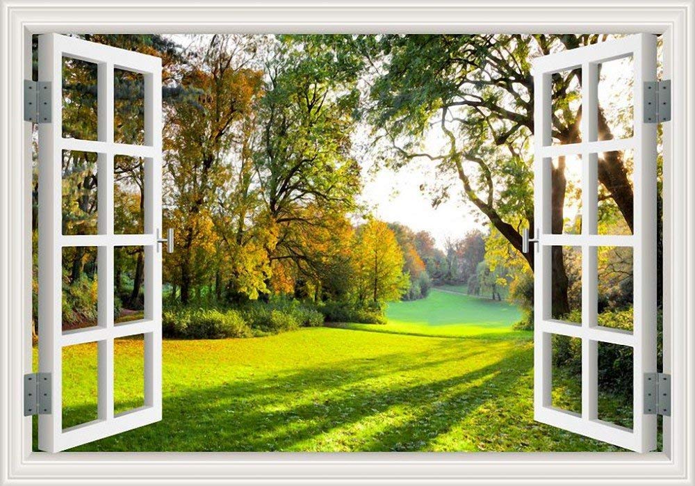 Real Window With A View - 1000x699 Wallpaper - teahub.io