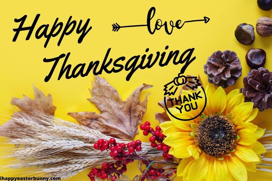 Happy Thanksgiving 2019 Gif - 900x600 Wallpaper - teahub.io