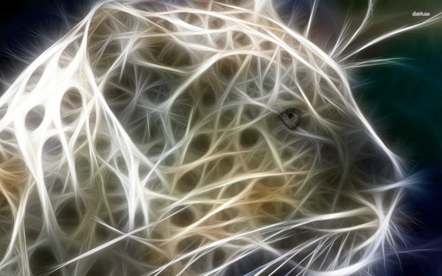 Jaguar The Animal Of Light - 1680x1050 Wallpaper - teahub.io