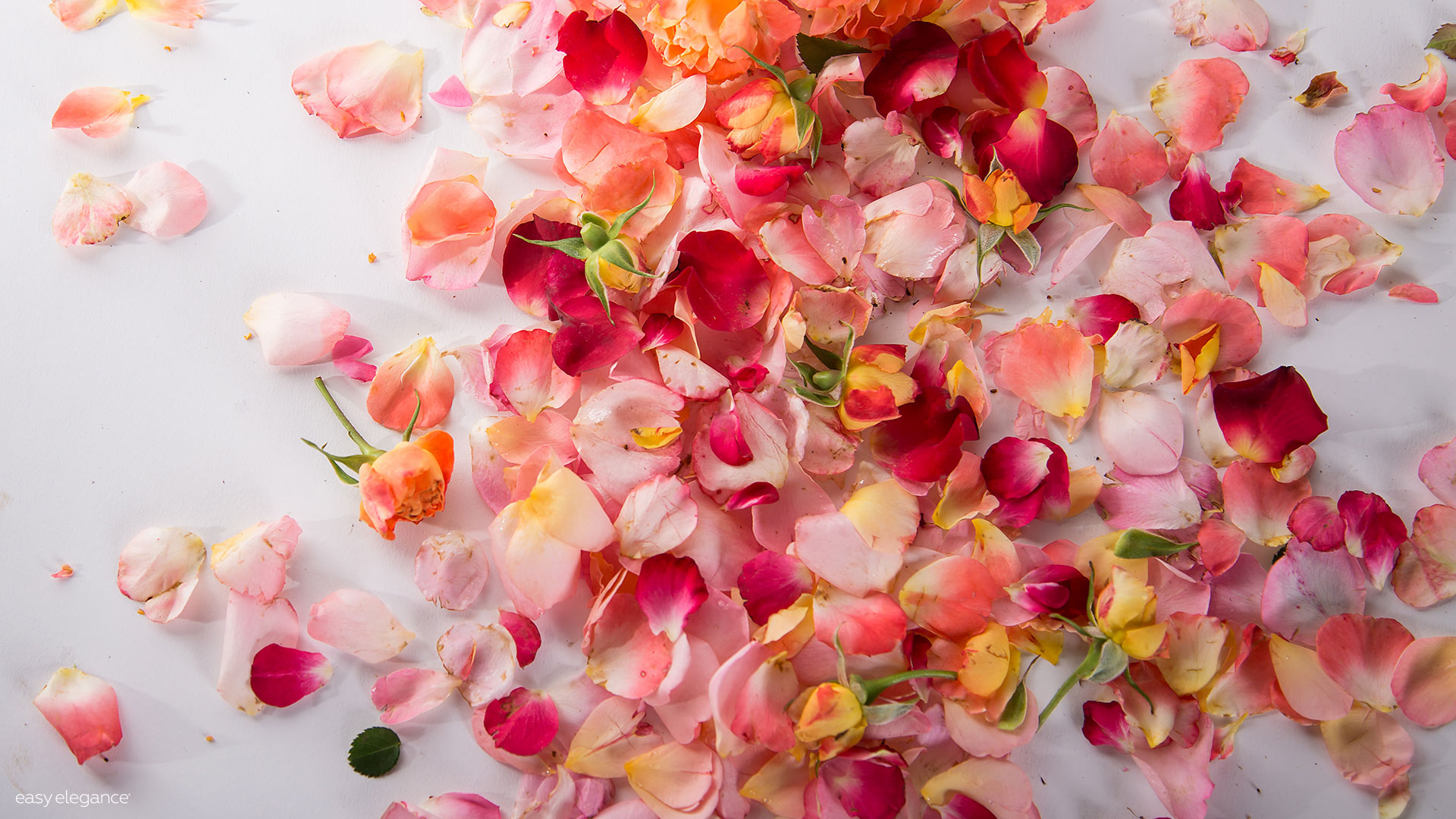 Cut - 1920x1080 Wallpaper - teahub.io