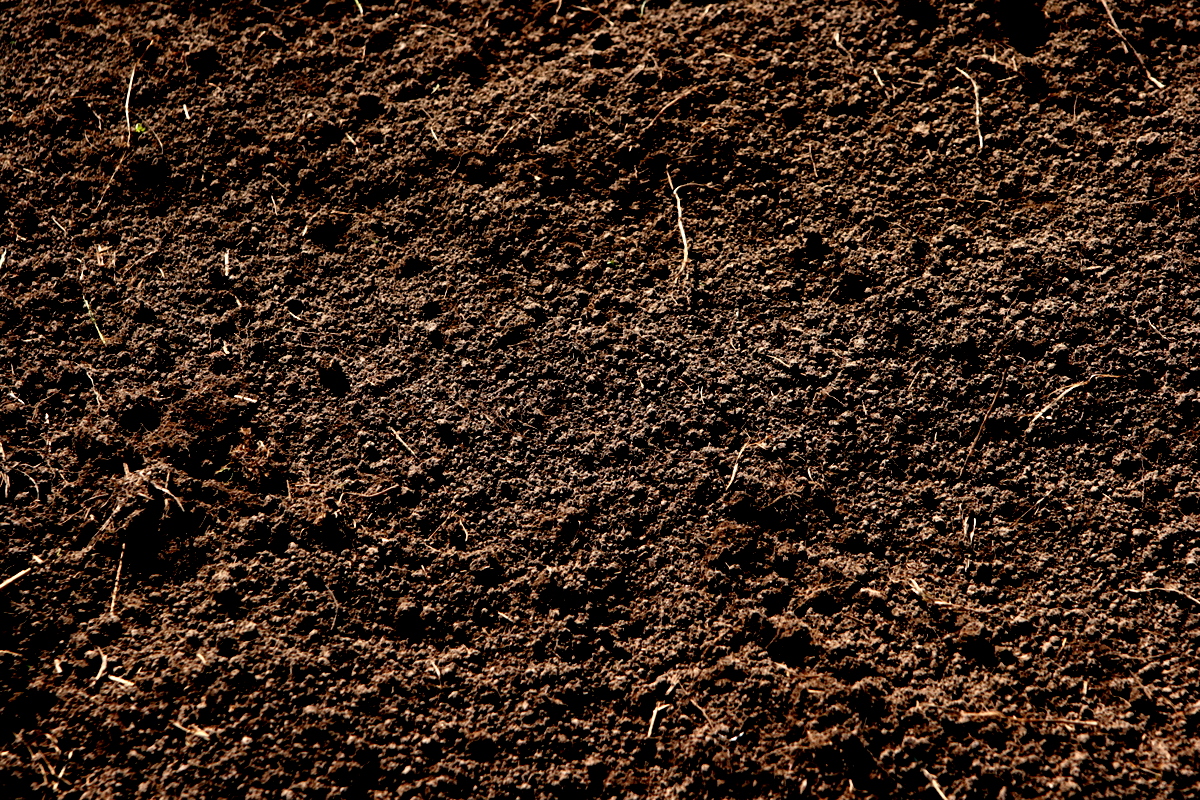 Dunton Park - Dirt Soil - 1200x800 Wallpaper - teahub.io