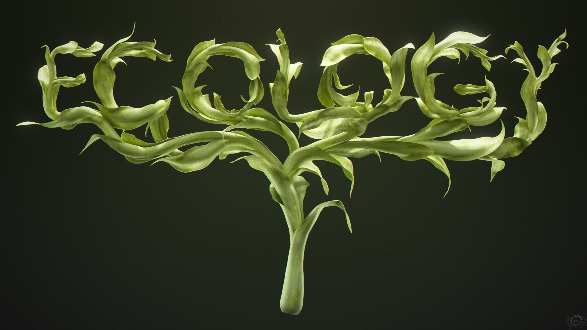 Ecology Writing - 1920x1080 Wallpaper - teahub.io