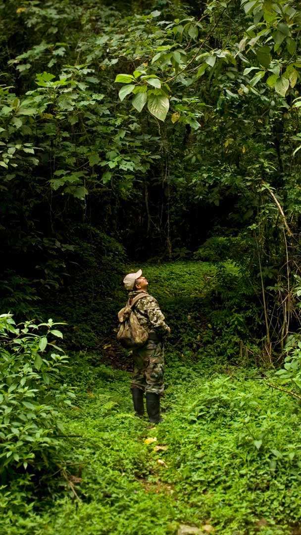 Park Ranger - 608x1080 Wallpaper - teahub.io