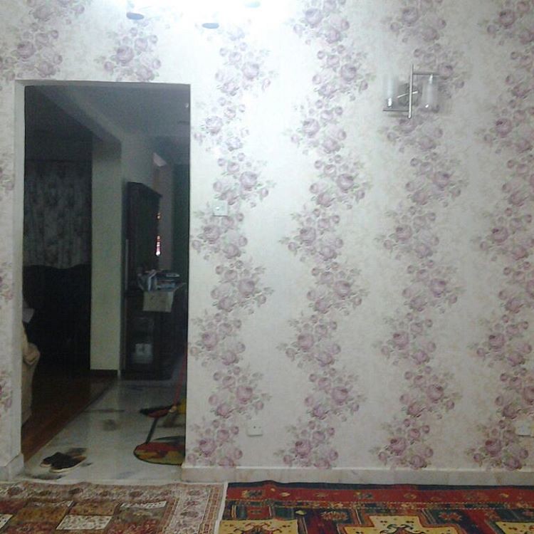 Wall - 750x750 Wallpaper - teahub.io