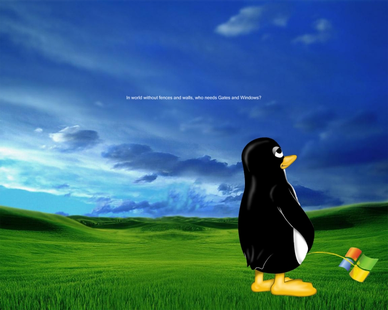 Multan - 800x640 Wallpaper - teahub.io