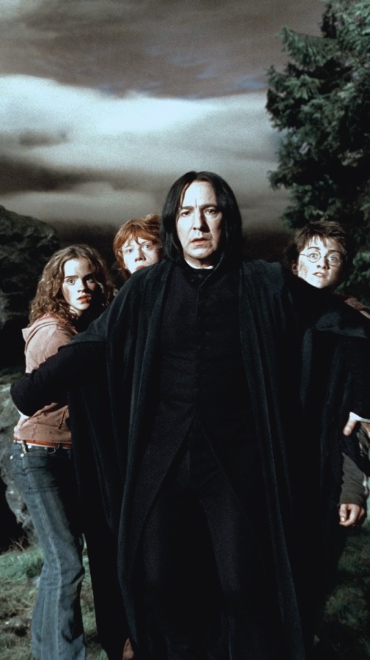 Image - Severus Snape Protecting Harry Ron And Hermione - 539x960 ...