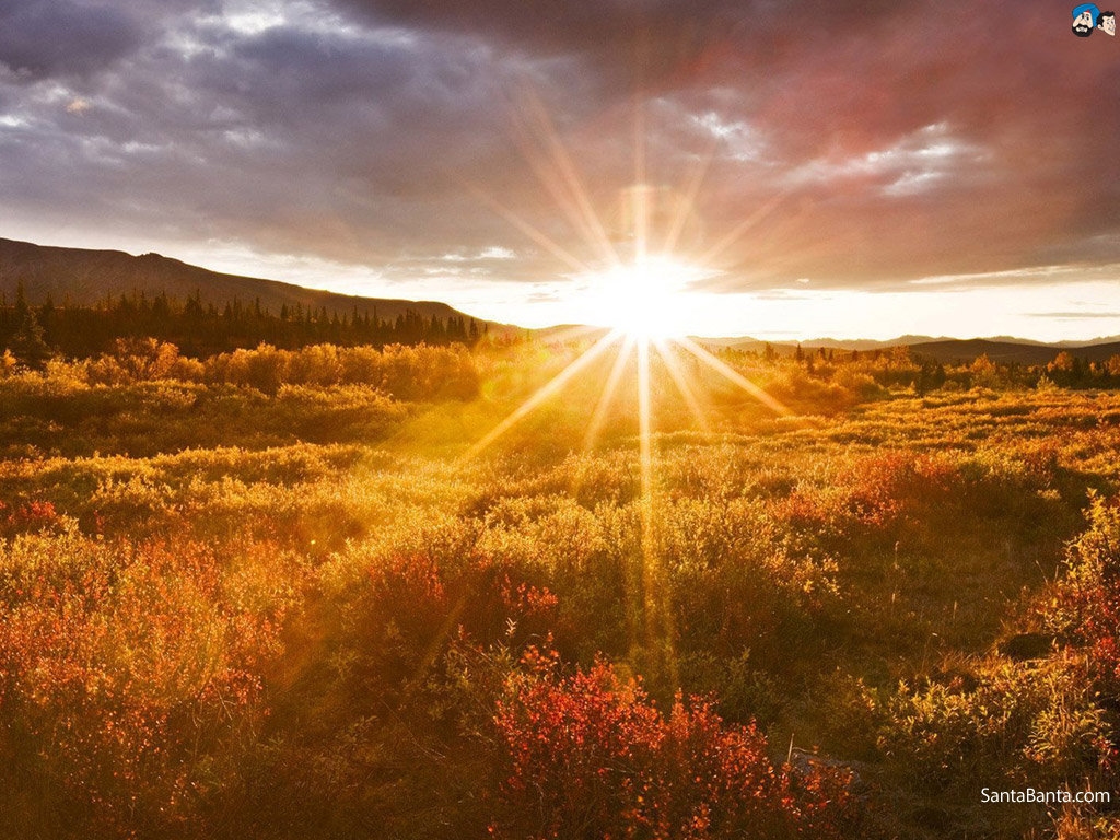 Sunrise - Beautiful Sun Rise Free - 1024x768 Wallpaper - teahub.io