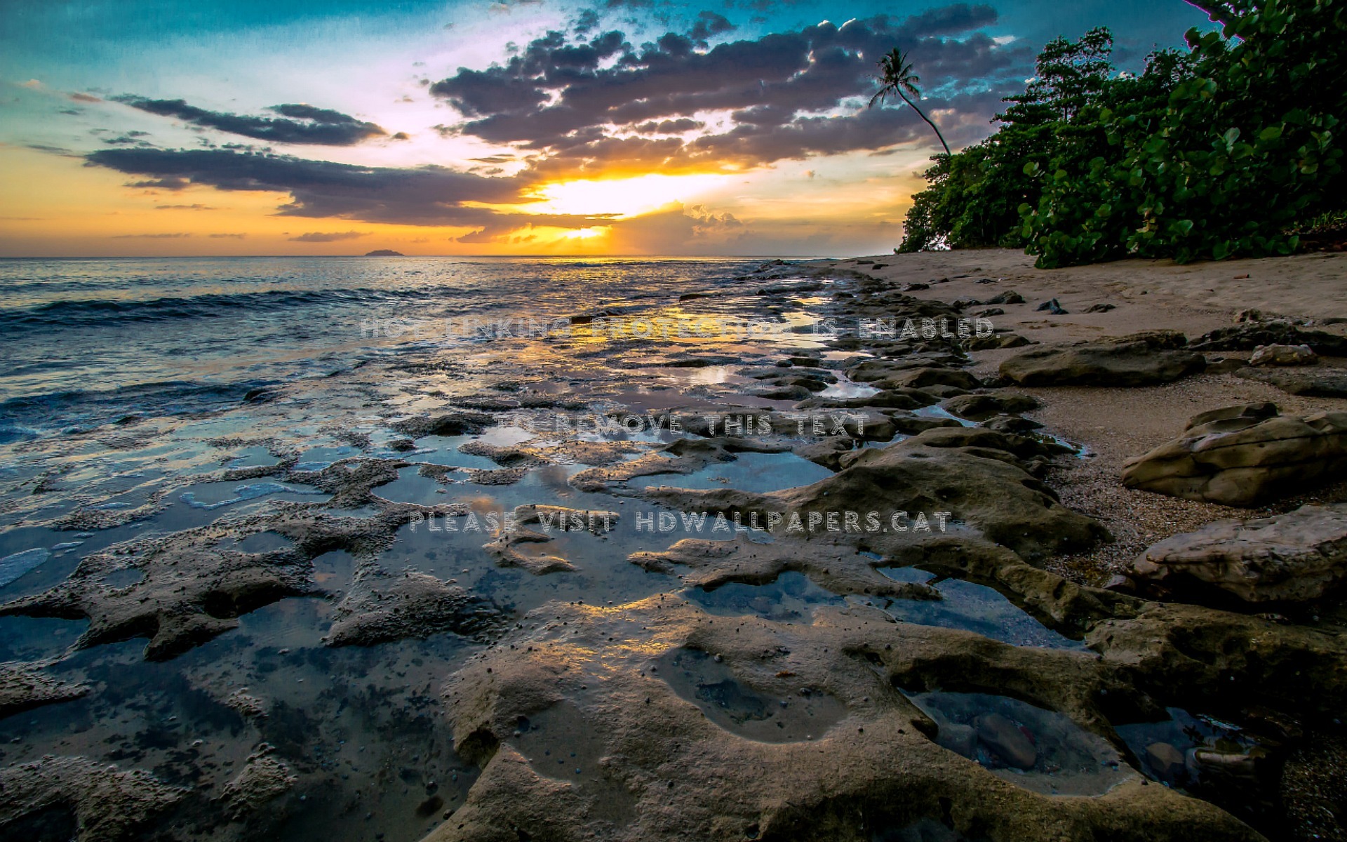 Rincon Beach Puerto Rico Water Sunset - 1920x1200 Wallpaper - teahub.io