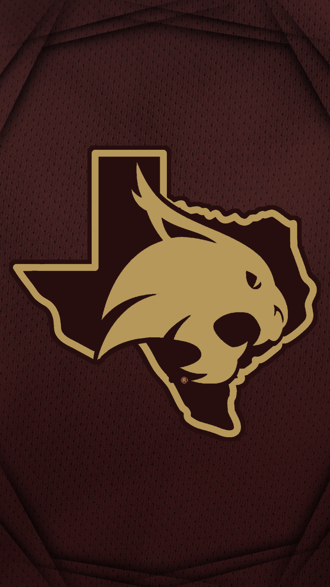 29573 Data Src State Of Texas Wallpaper For Phone - Texas State ...