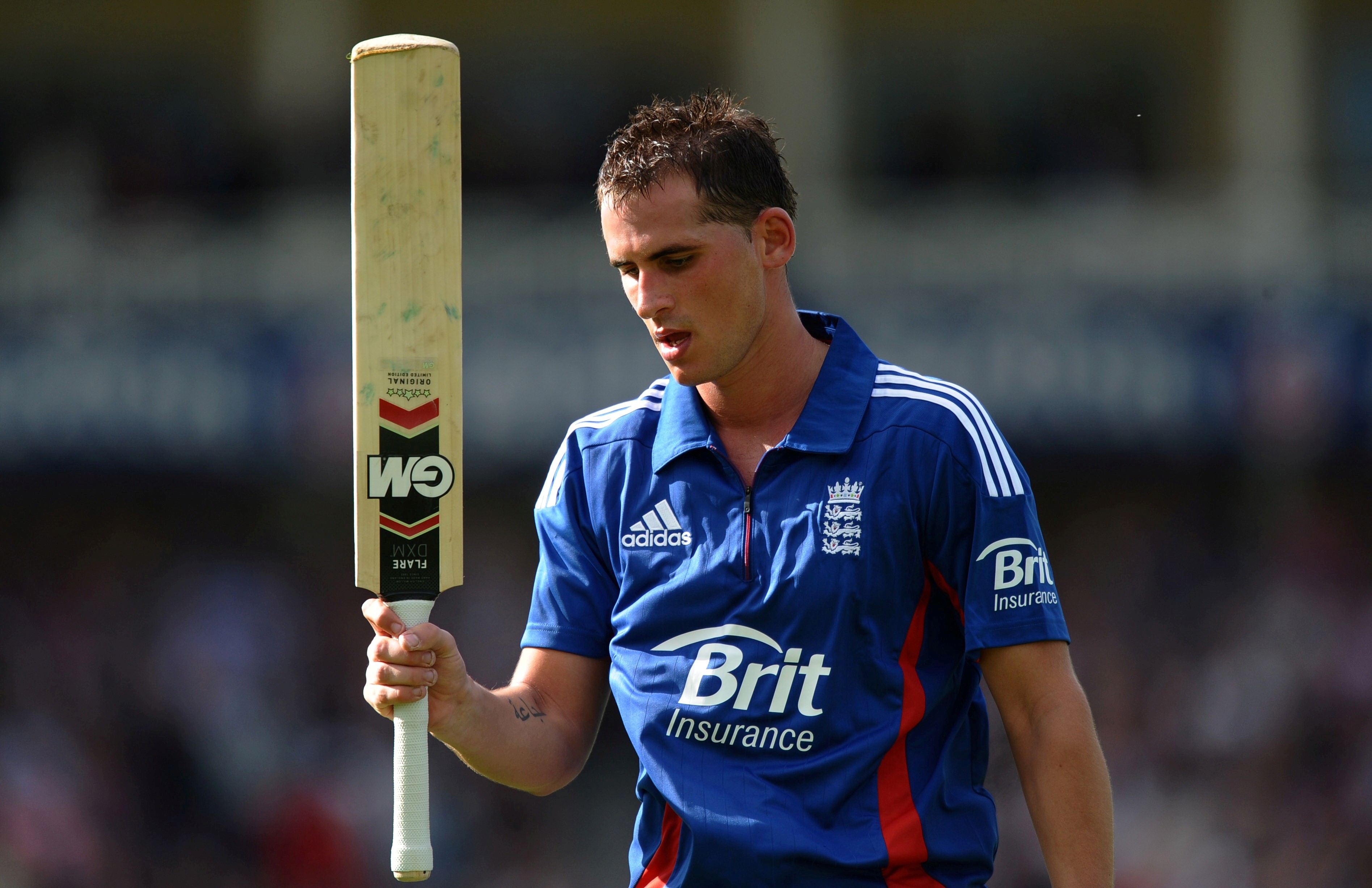 Alex Hales English Cricketer Batsman In Ground Hd Sport - English ...