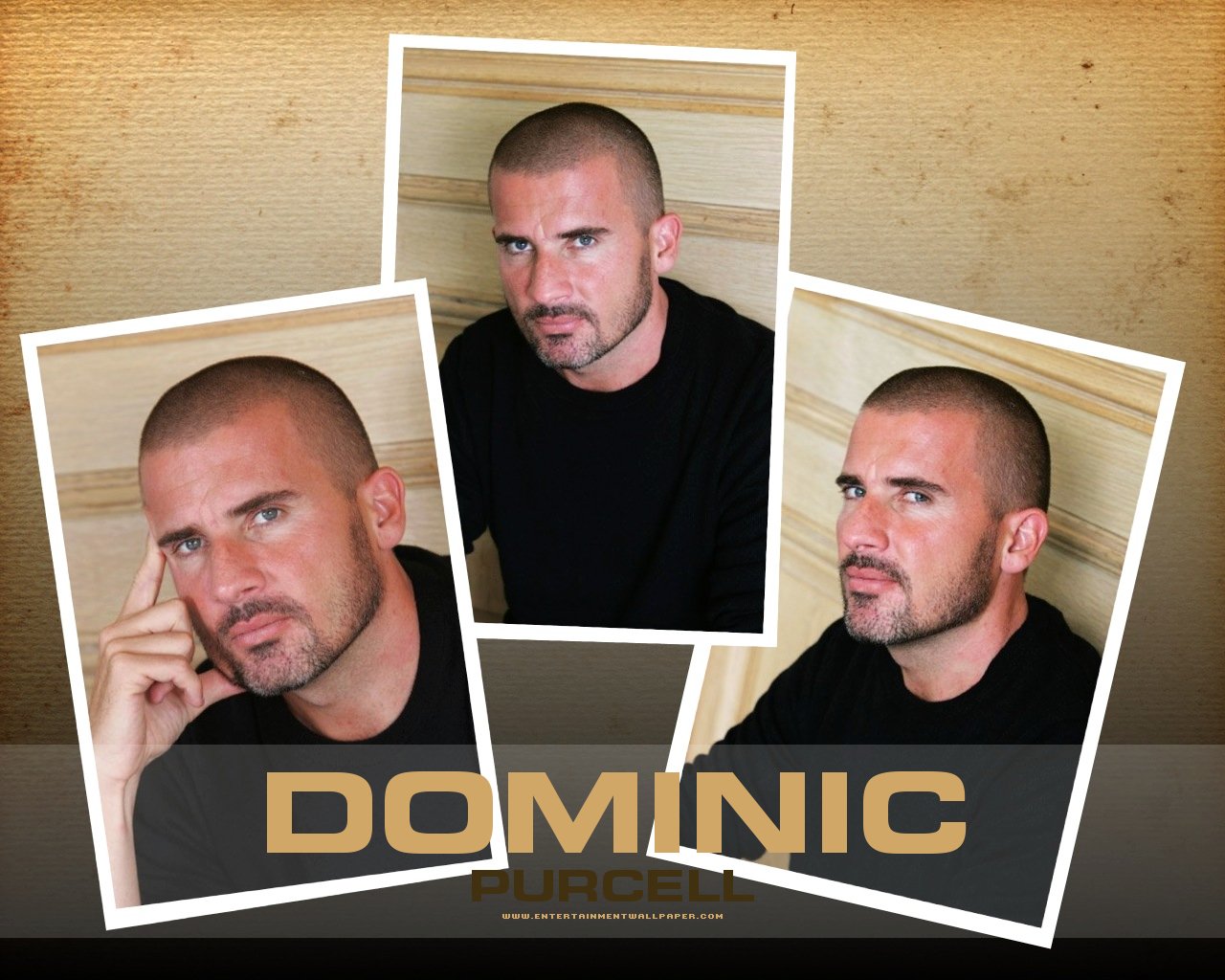 Dominic Purcell Background - Dominic Purcell - 1280x1024 Wallpaper ...