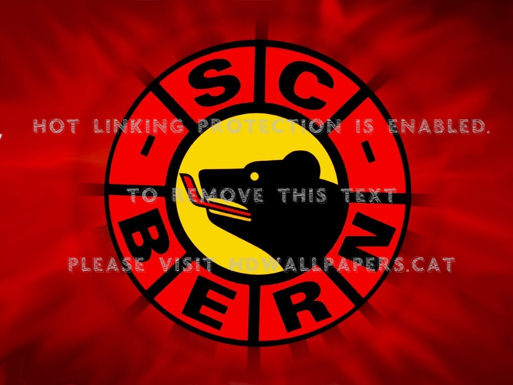 Scb Bern Nat Eishockey Sports - Sc Bern - 1024x768 Wallpaper - teahub.io