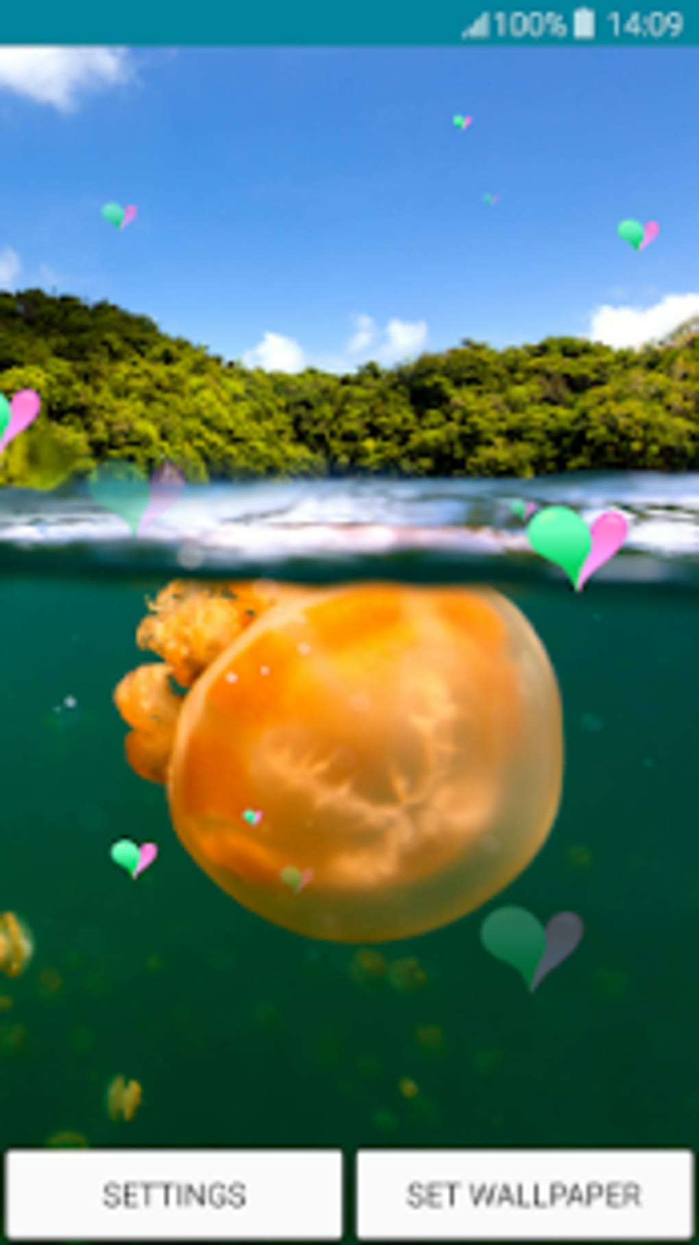 Gifpijl Van Een Kwal - 1020x1817 Wallpaper - teahub.io