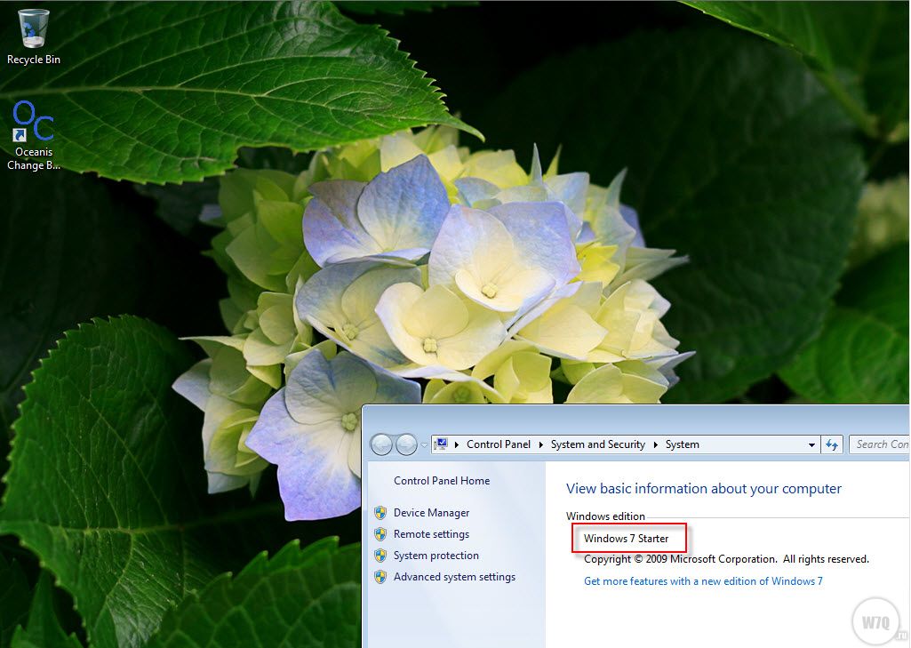Hydrangeas Windows 7 - 1025x729 Wallpaper - teahub.io