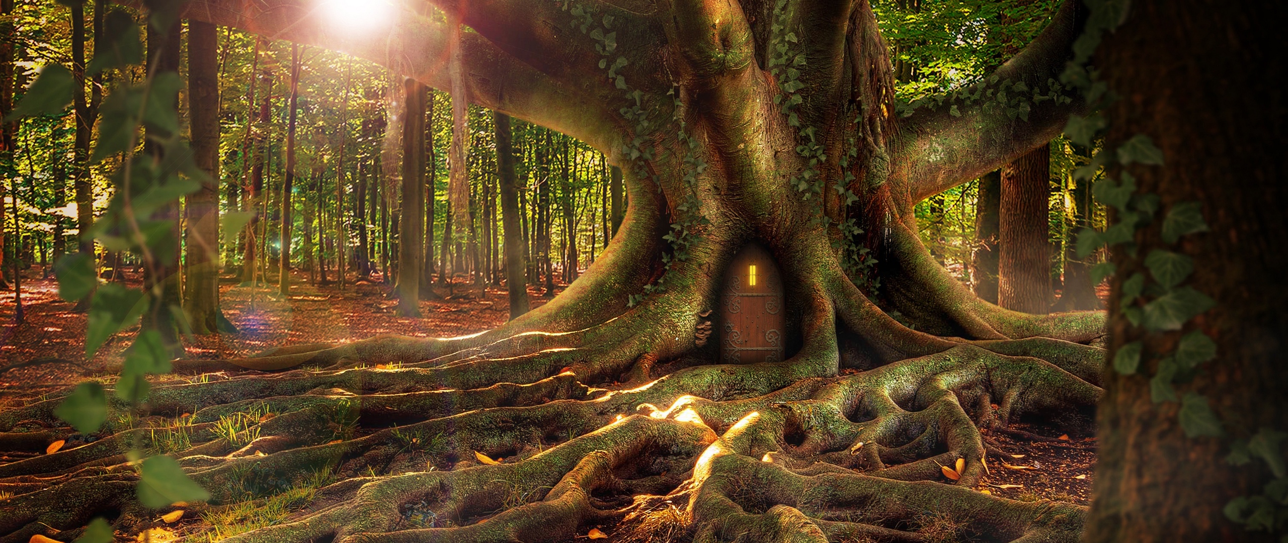Wallpaper House, Forest, Tree, Roots, Fantasy - Fantasy Background ... Wallpaper House, Forest, Tree, Roots, Fantasy - Fantasy Background ...