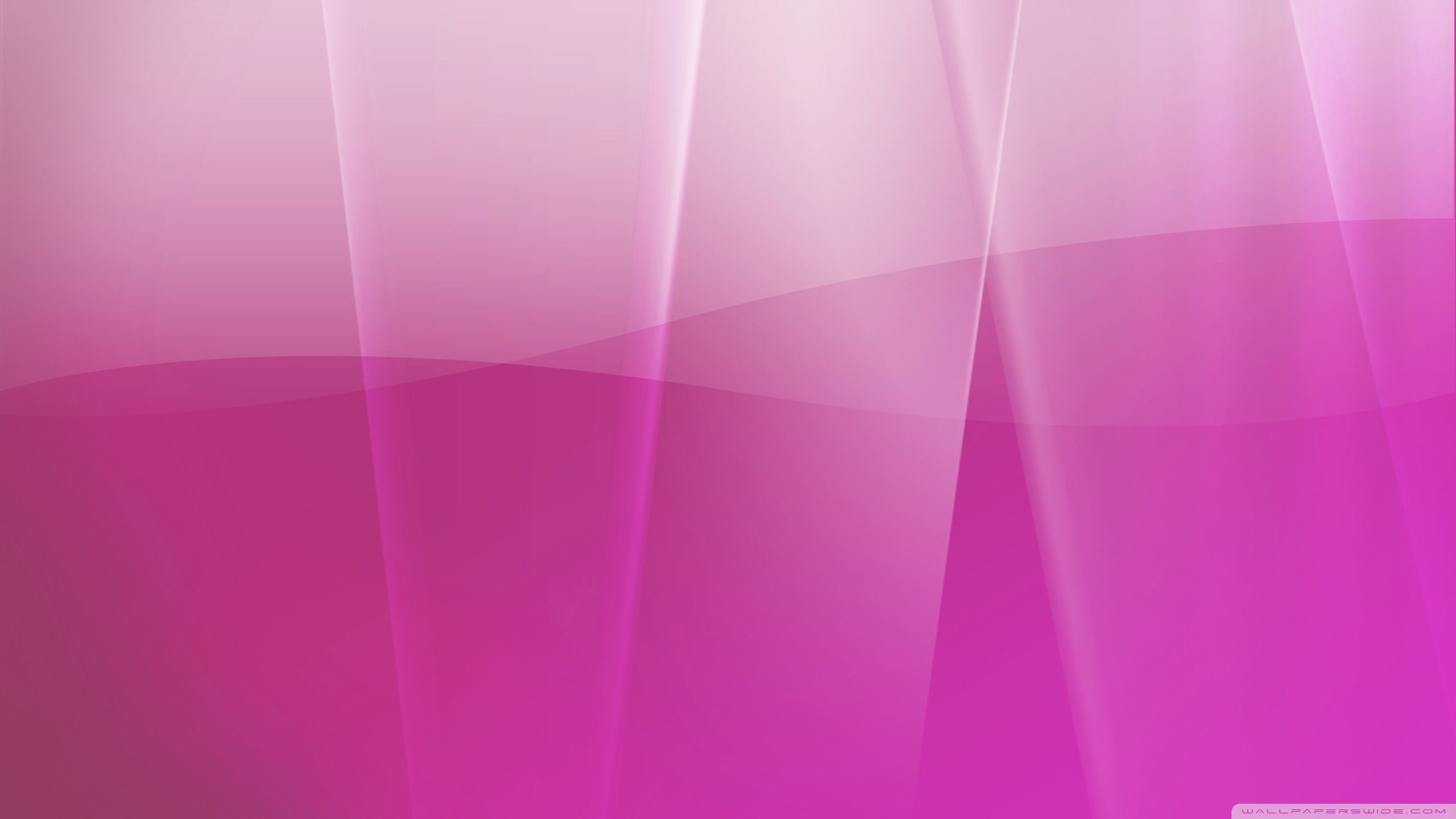 Glossy Pink Background - 2560x1440 Wallpaper - teahub.io