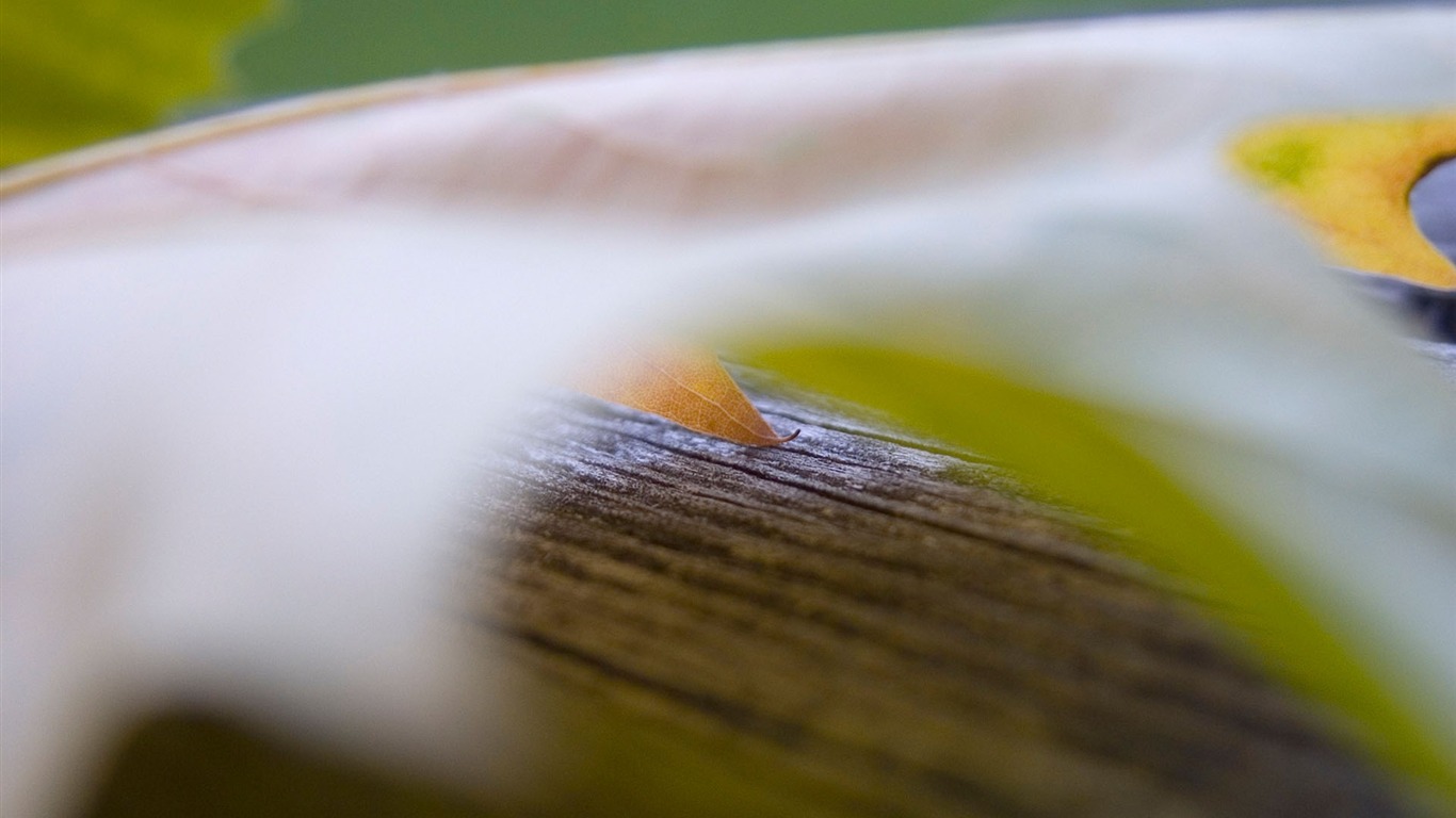 Wallpaper - 1366x768 Wallpaper - teahub.io