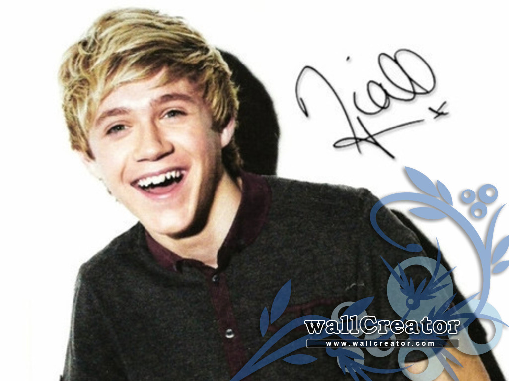 1366 / 768 Wallpaper - Niall Horan - 1025x768 Wallpaper - teahub.io