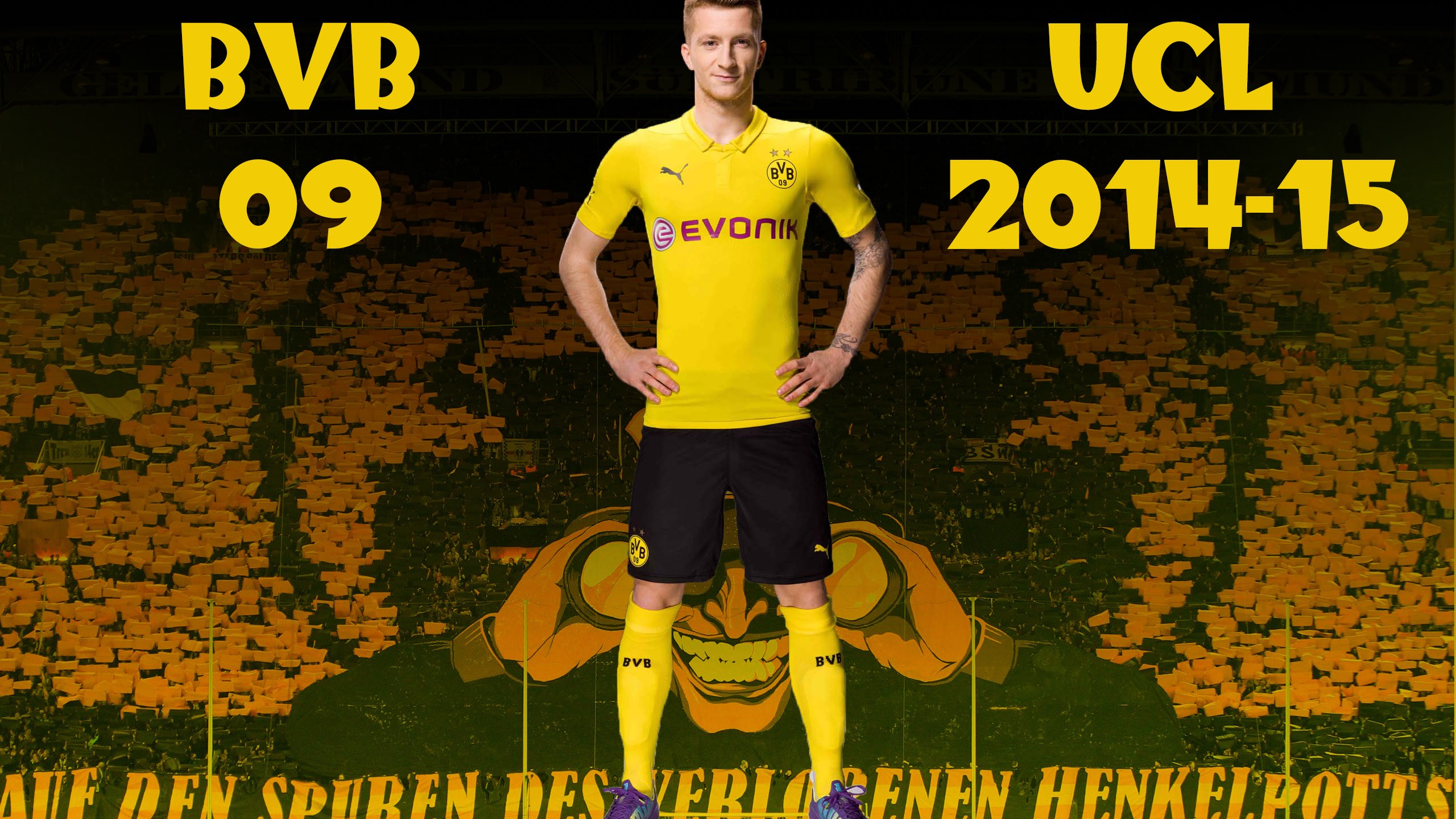 Tifo Football - 2560x1440 Wallpaper - teahub.io