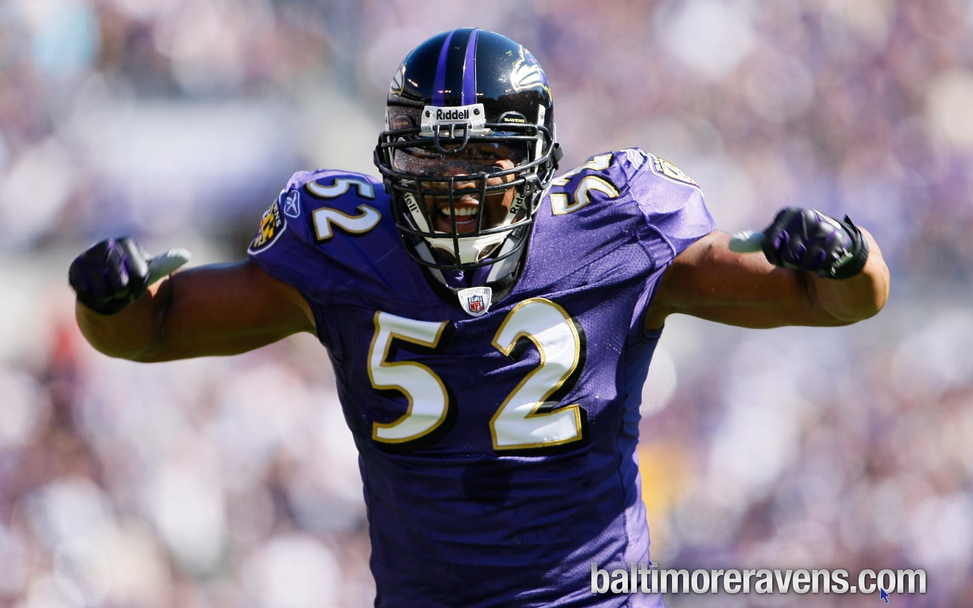 Ray Lewis - 1920x1200 Wallpaper - teahub.io