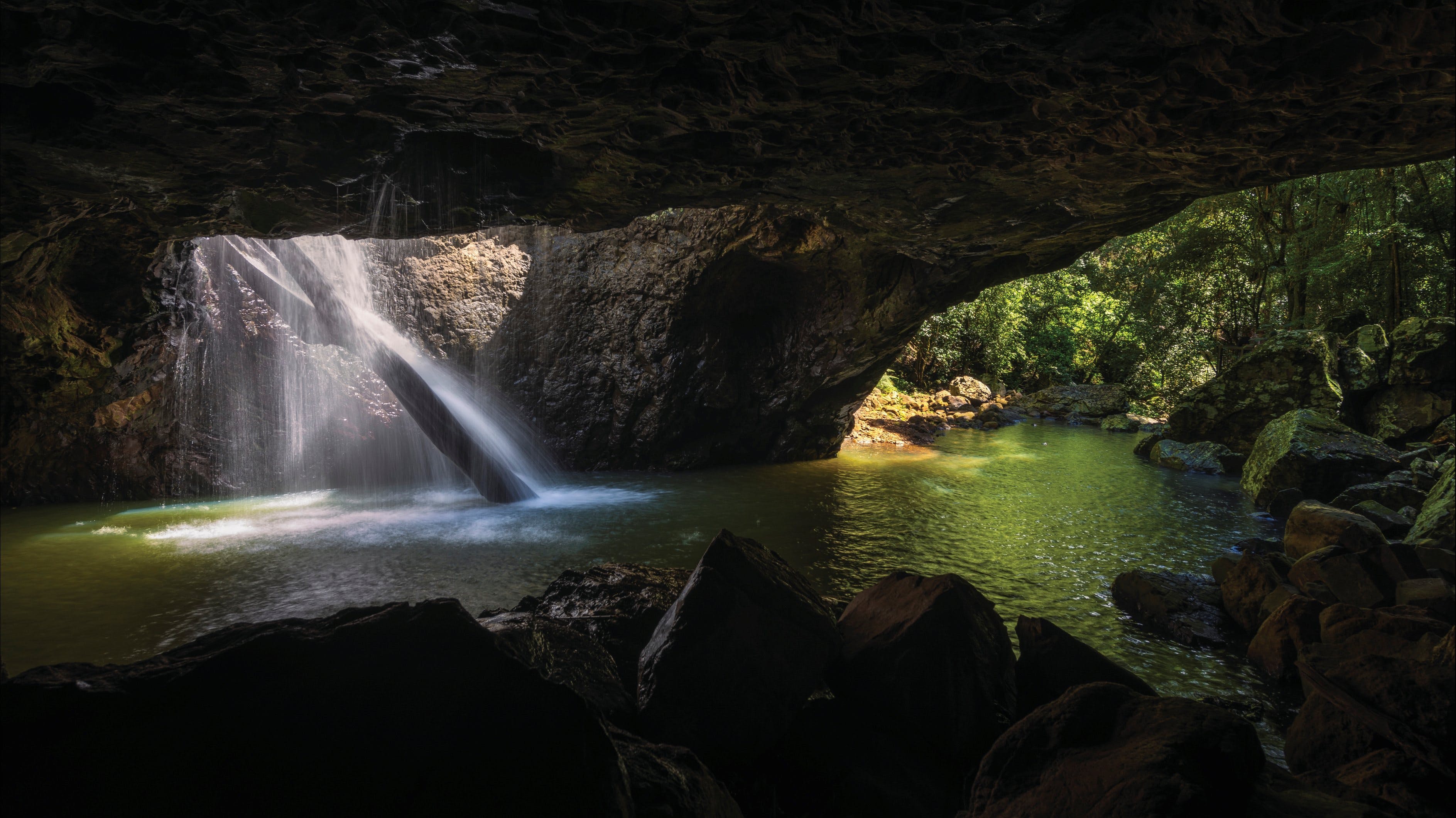 Springbrook National Park - 3774x2120 Wallpaper - teahub.io