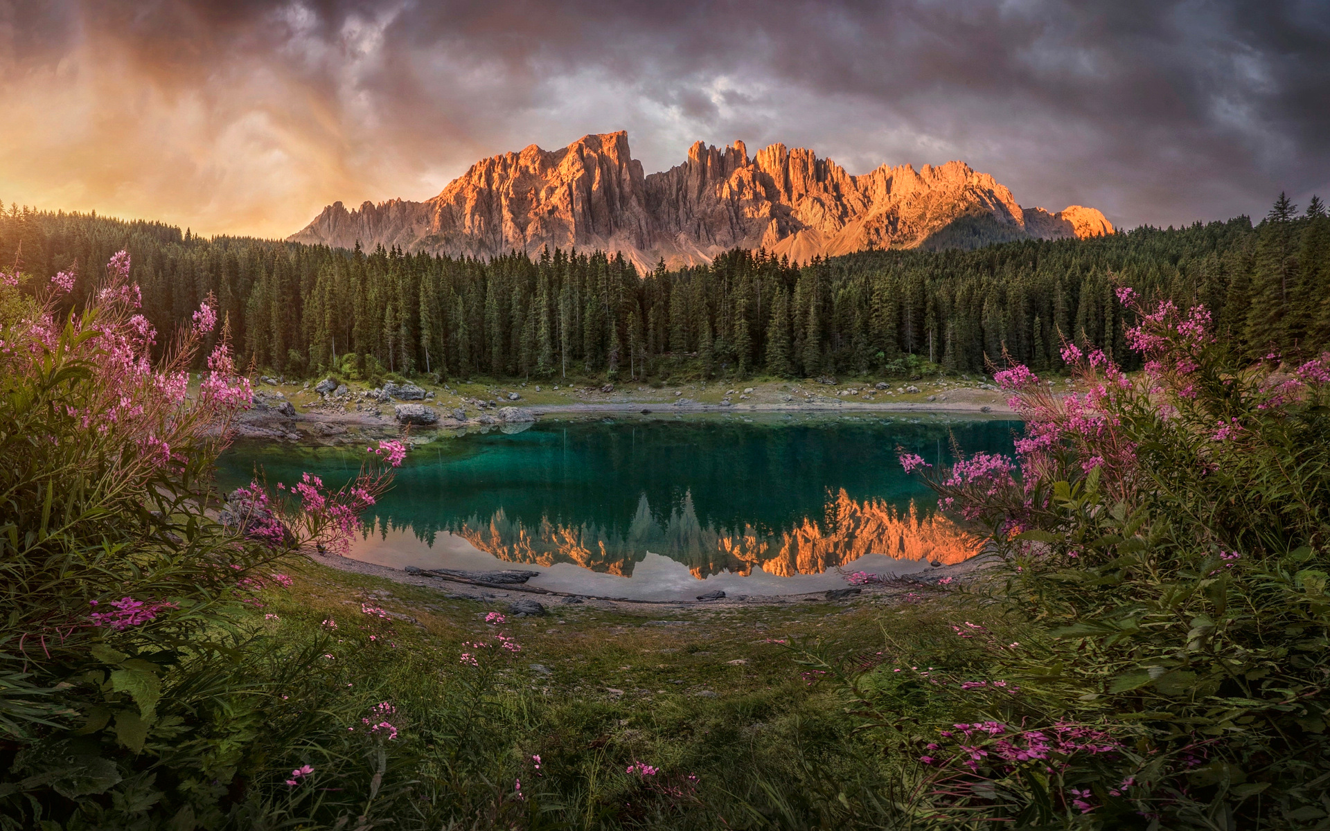 Lago Di Carezza Sunrise - 1920x1200 Wallpaper - teahub.io
