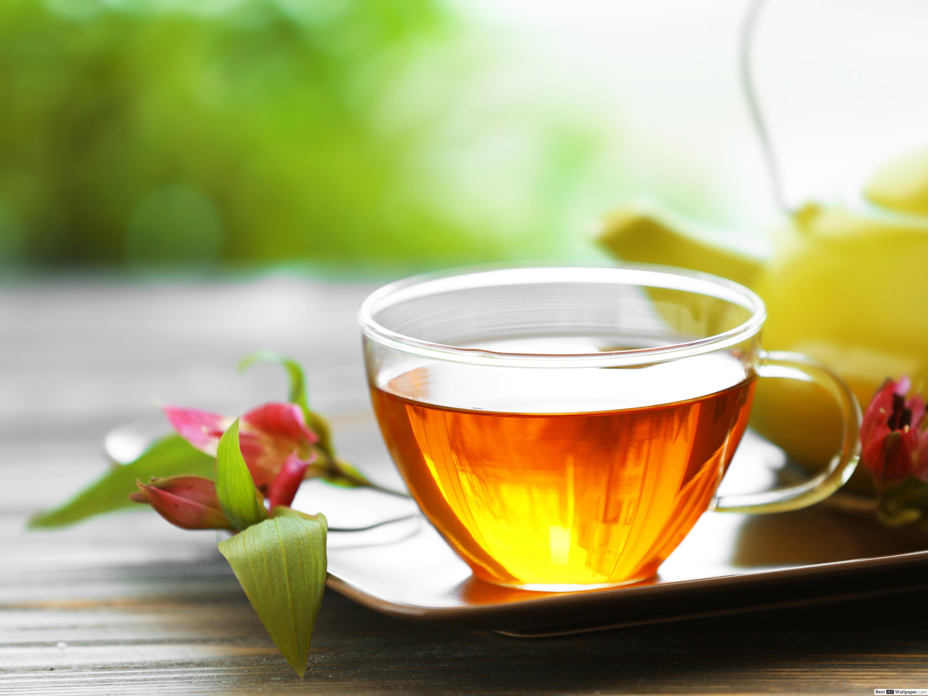 Tea - 3200x2400 Wallpaper - teahub.io