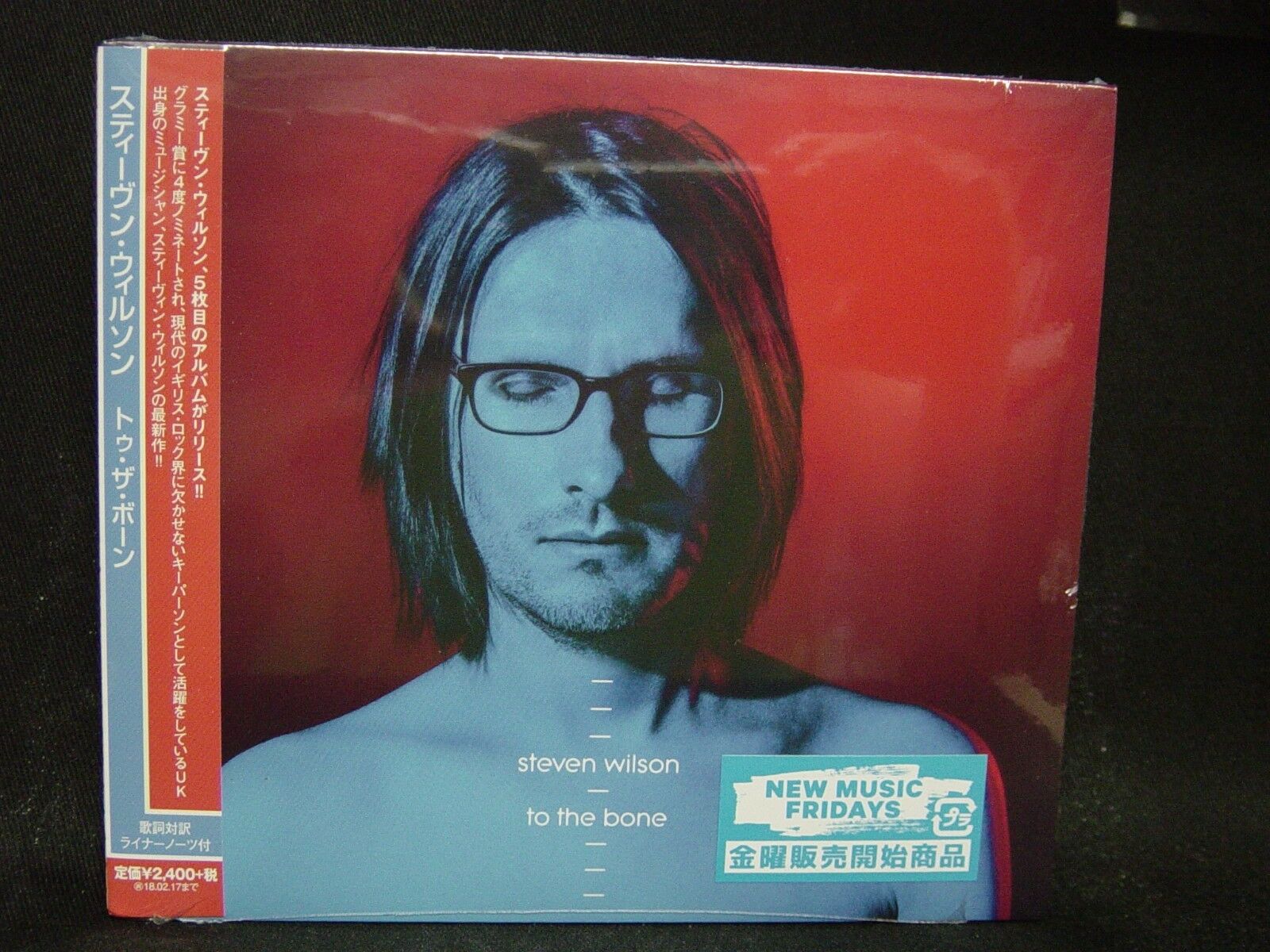 Steven Wilson To The Bone - 1600x1200 Wallpaper - teahub.io