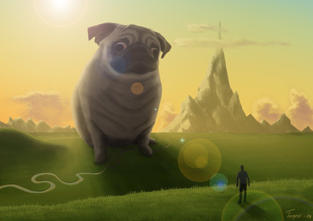 Shadow Of A Pug - 1062x751 Wallpaper - teahub.io