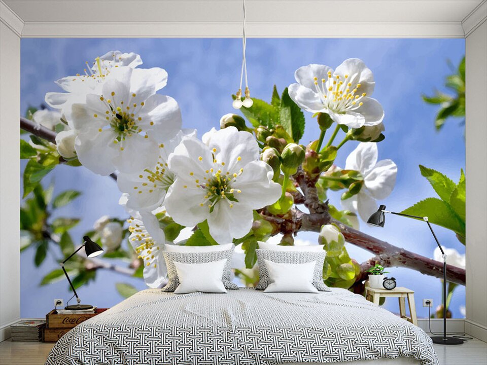 Wallpaper - 960x720 Wallpaper - teahub.io