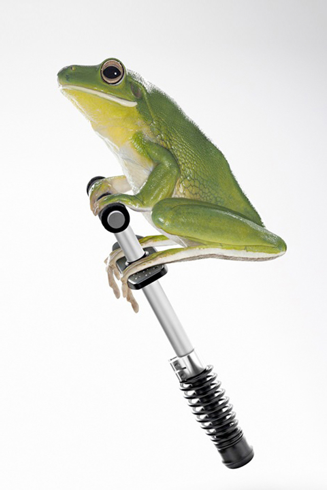 Download Jumping Frog Wallpaper - Frog On A Pogo Stick - Teahub.io