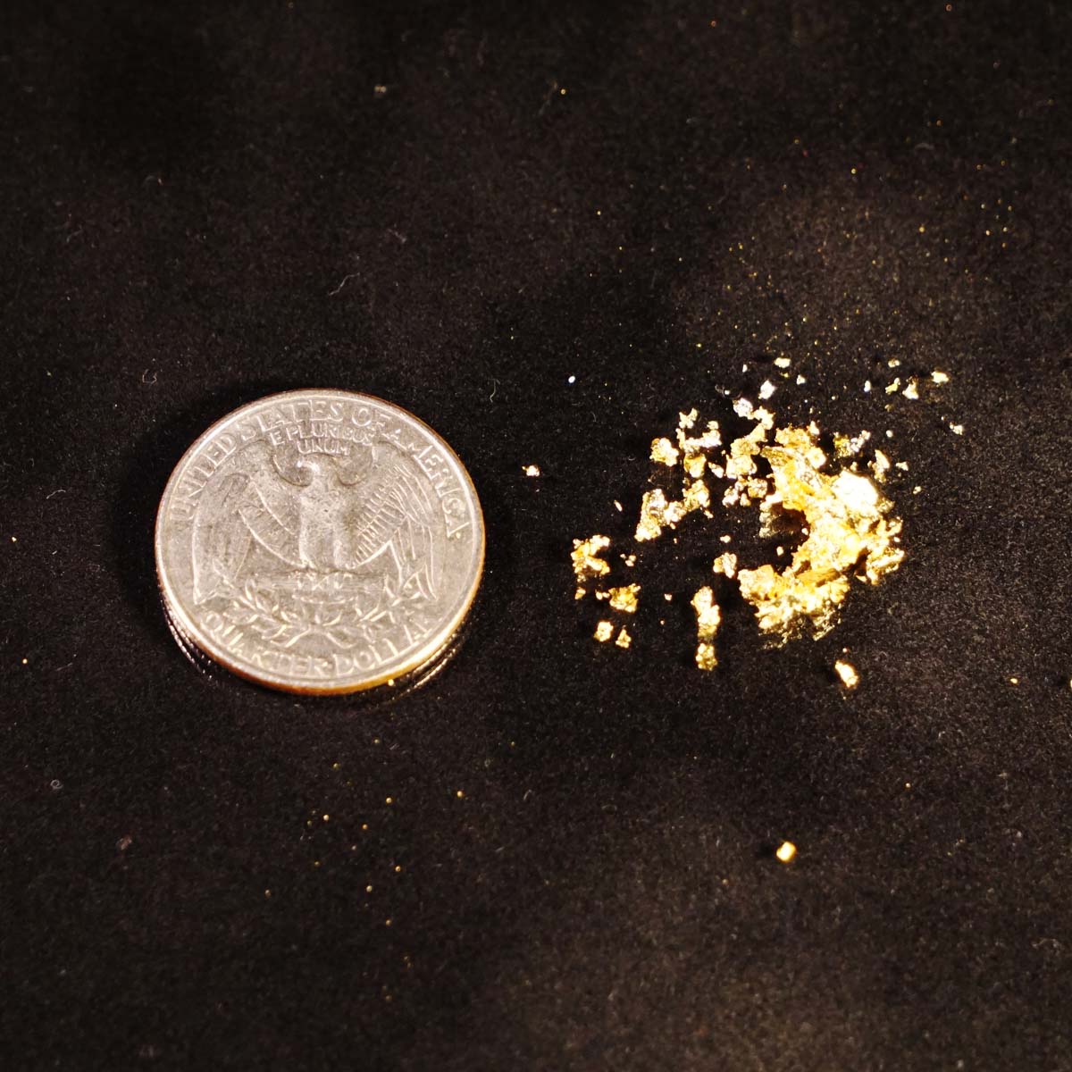 Small Flake Of Gold - 1200x1200 Wallpaper - teahub.io