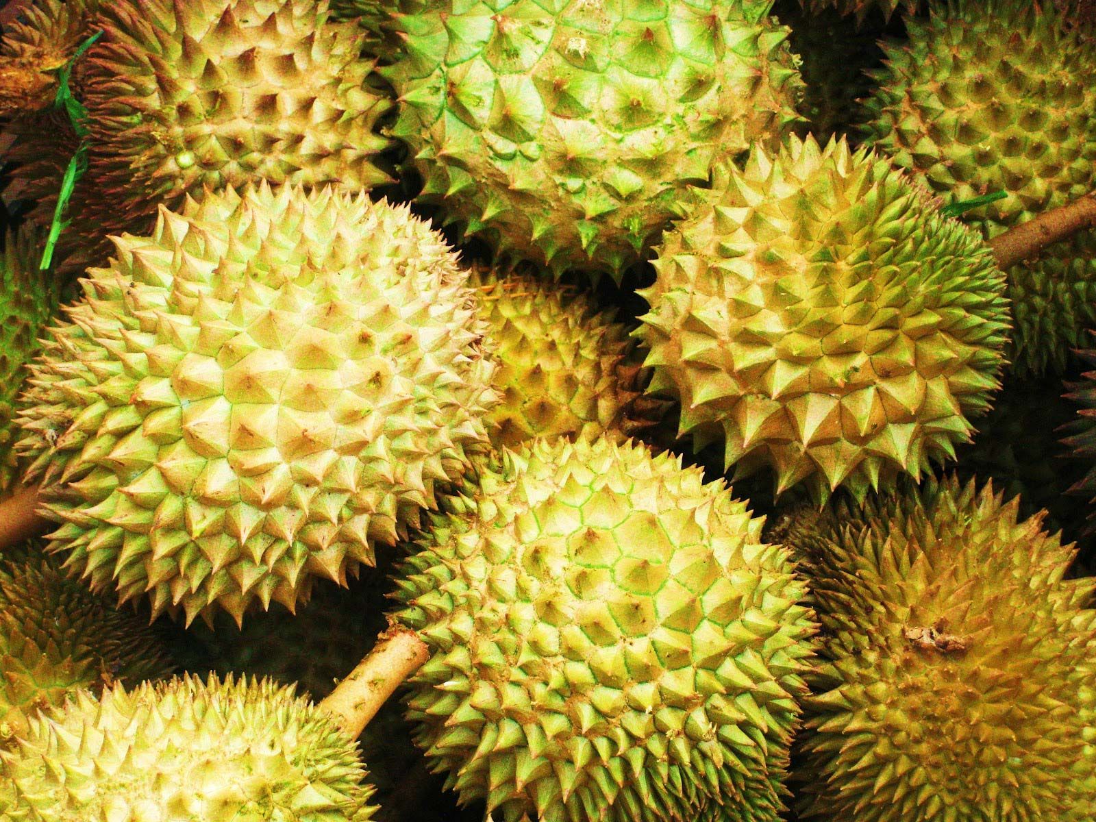 Durian Hd - 1600x1200 Wallpaper - teahub.io