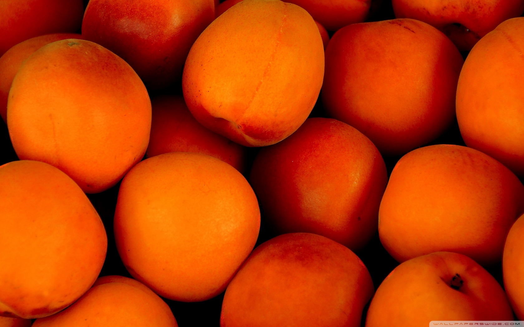 4k Apricot - 1680x1050 Wallpaper - teahub.io