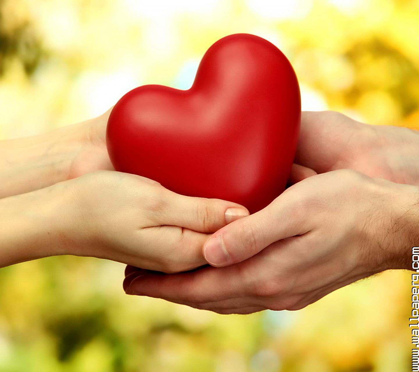 My Heart Images Download - 1440x1280 Wallpaper - teahub.io