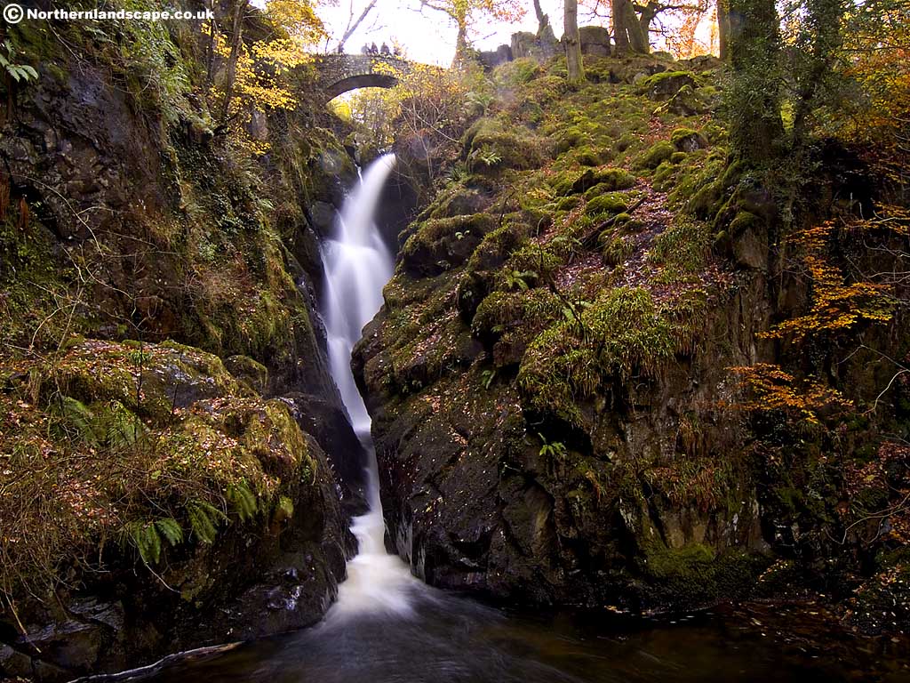 Aira Force - 1024x768 Wallpaper - teahub.io
