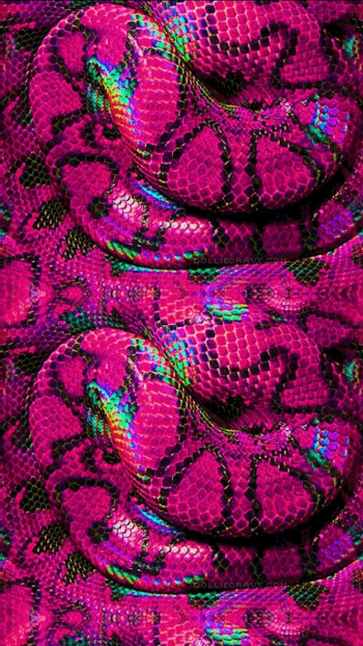 Pink Snakes - 736x1308 Wallpaper - teahub.io