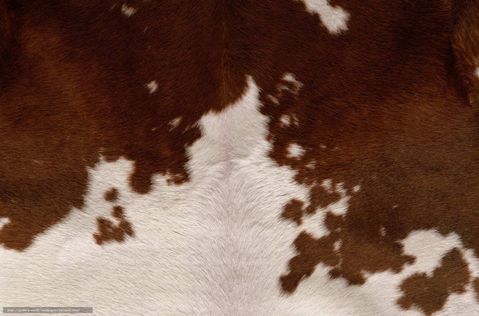 Cow Skin Wallpaper