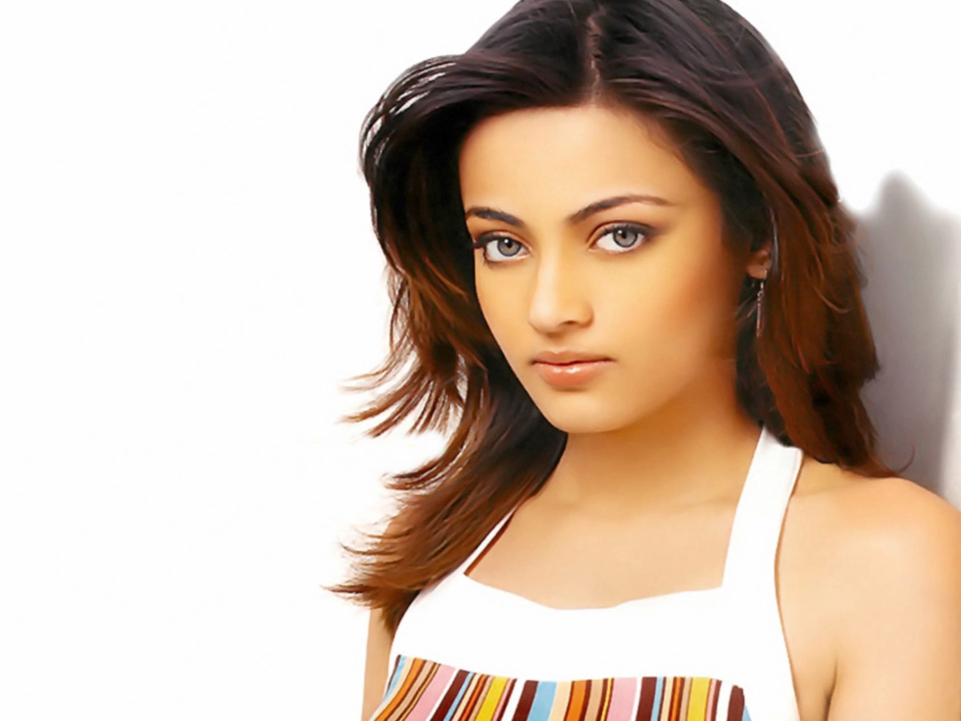 Sneha Ullal Beautiful Face - 1920x1440 Wallpaper - teahub.io