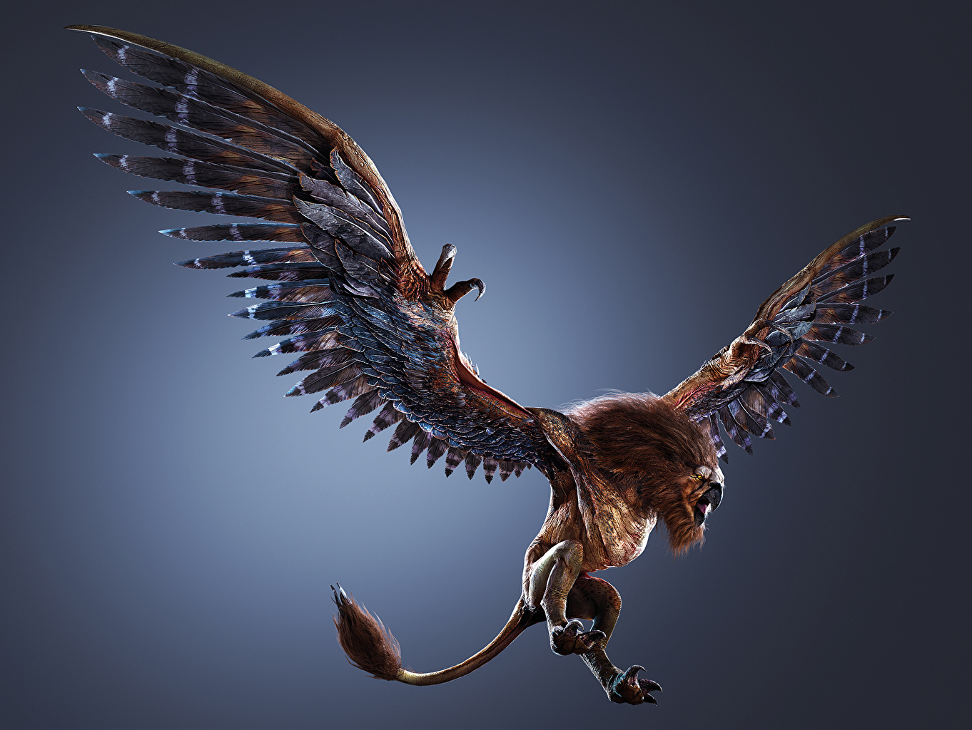 Royal Griffin Dnd 5e - 1362x1024 Wallpaper - teahub.io